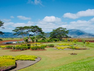 Visiting The Aloha State - Beautiful Oahu, Hawaii
